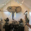 Hunting Trophy & Taxidermy Room | San Angelo, TX | Safari Studios