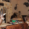 Hunting Trophy & Taxidermy Room | San Angelo, TX | Safari Studios